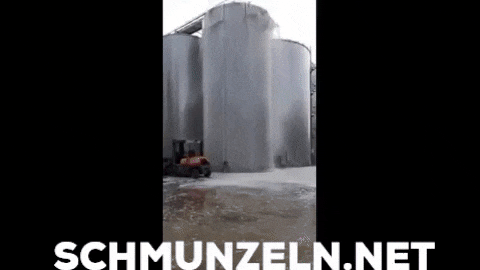 Lustige und schöne animierte Gifdumps #41 | Schmunzeln.net