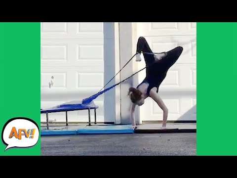 Getting CAUGHT on the FAIL | Best Funny Fails | Schmunzeln.net