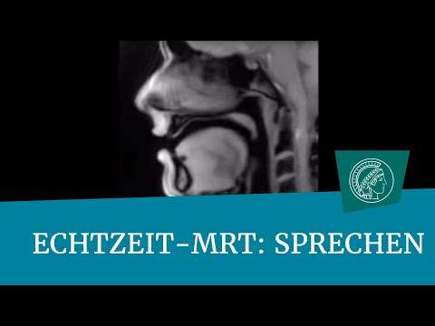Echtzeit-MRT-Film: Sprechen | Schmunzeln.net