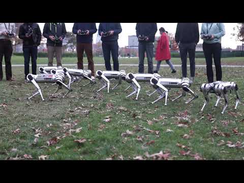 Mit Roboter-Hunden Gassi gehen im Park | Schmunzeln.net