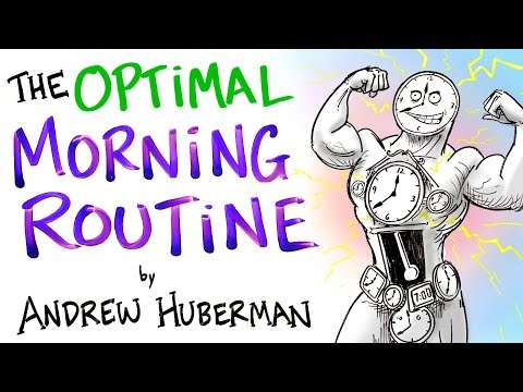 Die optimale Morgenroutine - Andrew Huberman | Schmunzeln.net